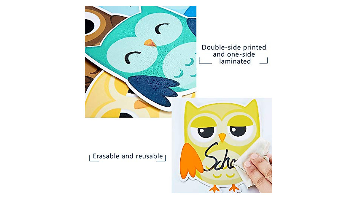 Colorful Owls Cutouts for Classroom & Party Decor