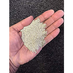 BioFill Pet Deodorizer Granular Infill for Artificial Grass Turf, All Natural Dog Urine Neutralizer, Outdoor Use, 40 lb Pail