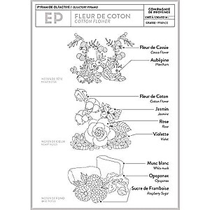 Compagnie de Provence Savon de Marseille Extra Pure Liquid Soap - Cotton Flower - 16.7 Fl Oz Glass Pump Bottle