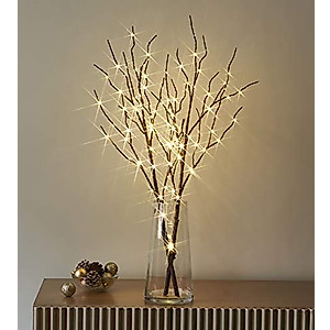LITBLOOM Lighted Brown Willow Branches 30IN 100 LED with Timer Battery Operated, Tree Branch with Warm White Lights for Holiday Christmas Decoration Indoor Outdoor Use