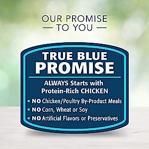 Blue Buffalo Freedom Grain Free Natural Adult Wet Dog Food, Chicken 12.5oz cans (Pack of 12)