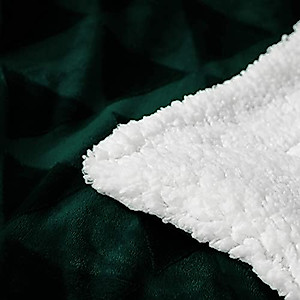 Exclusivo Mezcla 50” x 70” Large Throw Blanket, Sherpa Reversible Brushed Flannel Fleece Plush Blanket, Stylish Decorative, Lightweight, Soft and Warm Forest Green