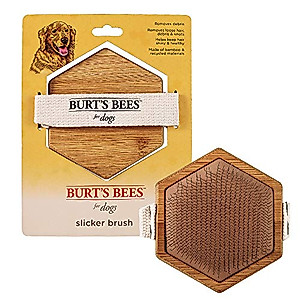 Burt's Bees for Pets Palm Slicker Brush, Recycled Bamboo Dog Brushes, Dog Brush, Dog Hair Brush, Burts Bees Pet Bush, Puppy Brush, Pet Hair Brush, Pet Comb, Dog Grooming Tools, Grooming Brush