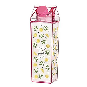 Acrylic Water Bottle by Heartfelt - Square Bottles - Clear Carton Juice or Milk Carton Water Bottle, 17-Ounce, Fresh Start