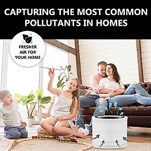 RGBflt 2 Pack 14 True HEPA Filter Replacement Compatible with Puro 240 Air Purifier, 3-in-1 True HP-14 and Activated Carbon Filter