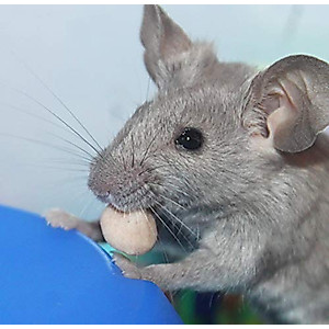 Vitakraft Drops Mini Banana & Cherry Flavor Dwarf Hamster, Rat, and Mouse Treat, 2.5 oz, Multi