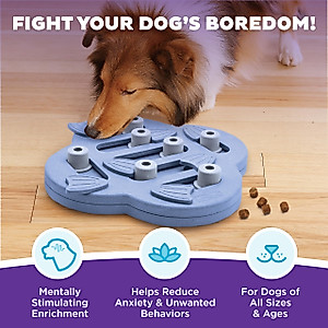 Outward Hound by Nina Ottosson Dog Hide N' Slide Treat Puzzle Enrichment Toy, Level 2 Intermediate, Purple, Composite