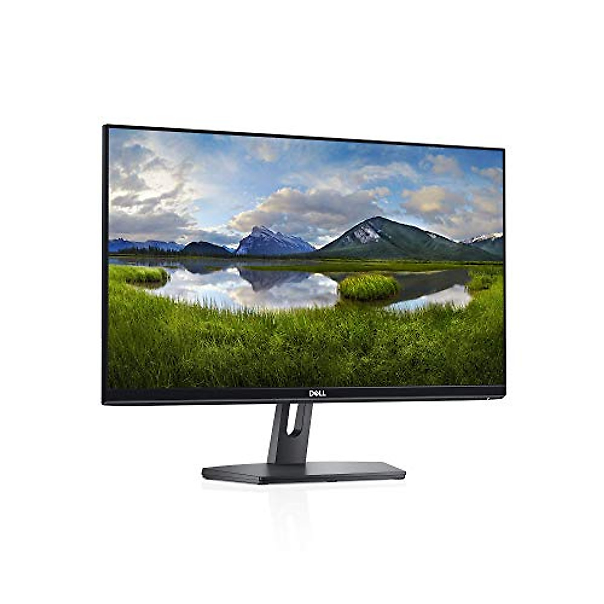 Dell SE2419Hx 23.8" IPS Full HD (1920x1080) Monitor (Renewed)