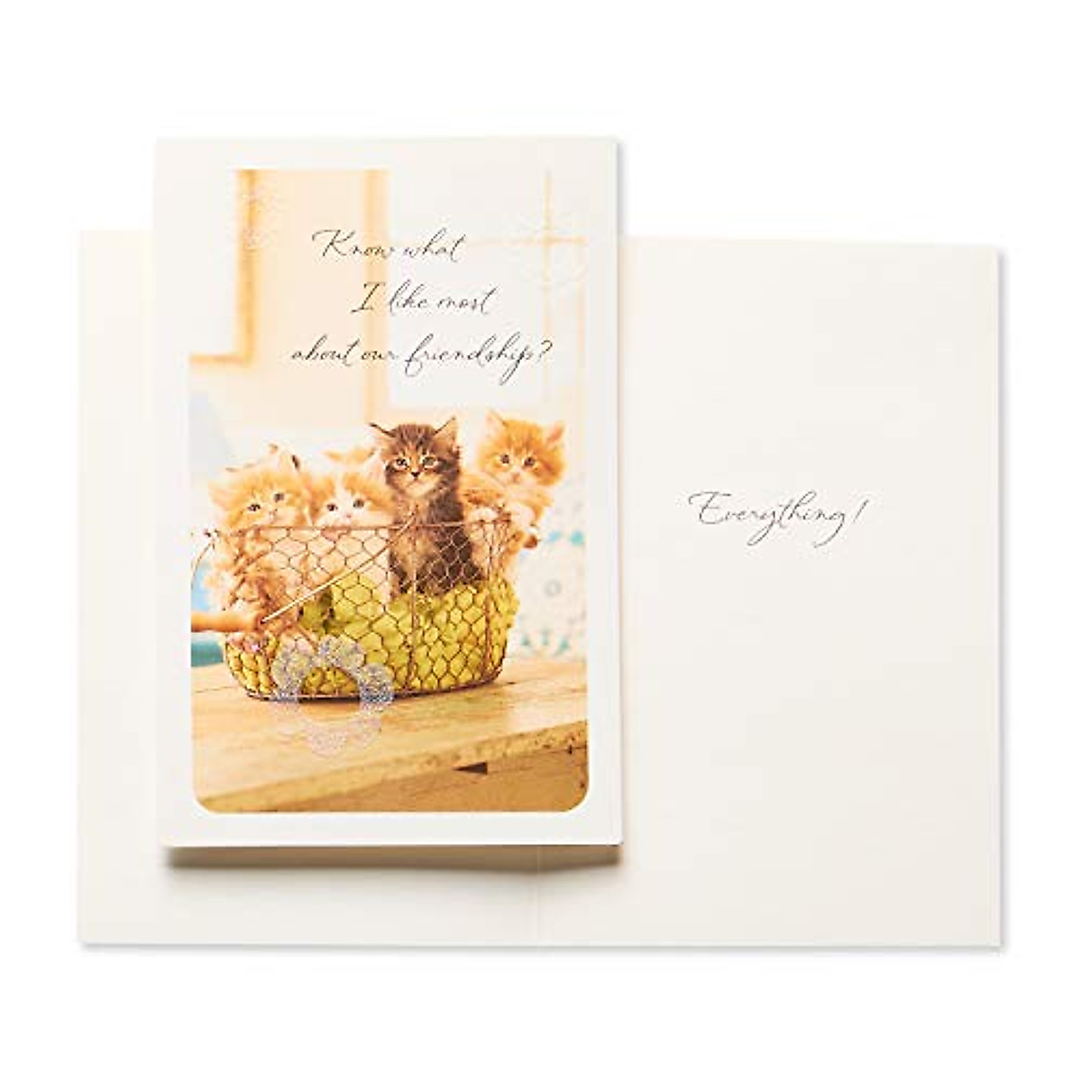 American Greetings Friendship Cards, Assorted (12-Count)