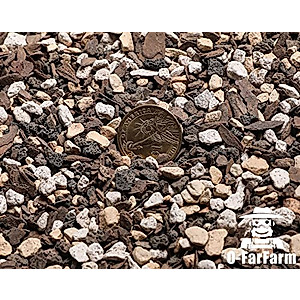 O-FarFarm Bonsai Soil Mix Ready to Use 2 Quart, Fast Draining All Purpose Potting Soil for Bonsai Tree, Ideal for Root Development, Made from Akadama, Lava Rock, Pumice and Pine Barks