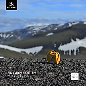 Pelican 1300 Camera Case