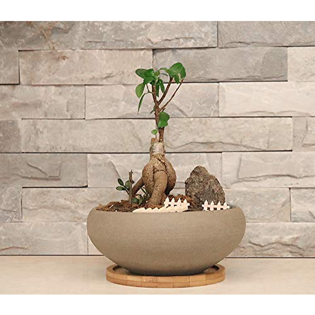 MUZHI Round Unglazed Ceramic Bonsai Pot with Bamboo Tray, Large Rough Pottery Succulent Planter with Drainage Hole 8 inch …