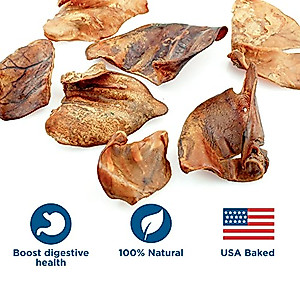 Best Bully Sticks All Natural USA Baked & Packed Pig Ears for Dogs - Single Ingredient Highly Digestible 100% Pork Dog Chew Treats - Great for Puppies, Small, Medium, and Large Dogs - 12 Pack