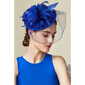 BABEYOND Fascinator Hat Veil Feather Fascinator Tea Party Kentucky Pillbox Derby Hat Bridal Wedding Party Royal Blue