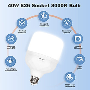 UBeesize Softbox Photography Lighting Kit, 30"X30" Professional Softbox Lighting Kit with 2pcs 40W E26 Socket 8000K Bulbs, Continuous Lighting Kit for Portraits Advertising Shooting, Video Recording