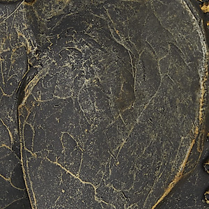 Deco 79 Polystone Elephant Sculpture with Cowrie Shell Carvings, 5" x 10" x 7", Black