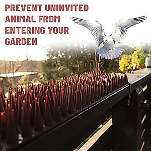 Pack of 12 Anti Bird Spike Strips for Fence Roof Railing Covering 17 Feet in Total - Plastic Squirrel Deterrent Cat and Raccoon Repellent Strips with 3 Foldable Segments