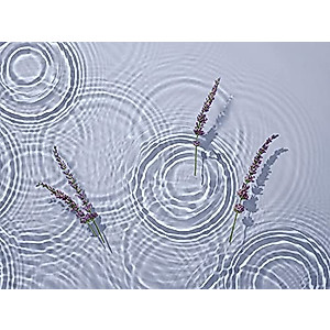 Tea Tree Lavender Mint Overnight Moisture Therapy, Leave-In Treatment, Restores Hair + Enhances Sleep Quality, For Coarse, Curly + Dry Hair, 3.4 fl. oz.