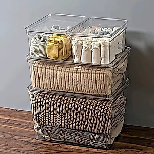 Tidyhome - 2 XLARGE Clear Plastic storage bins with lids- (14inchL×11inchW×9inchH)-Bins Handle for Office, Entryway,Cabinet, Bedroom, Laundry Room, Nursery and Transparent 14.2inchL×11inchW×9inchH