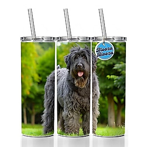 Bouviers Des Flandres Dog Photo Skinny Tumbler 20oz with Straw Insulated Water Bottle Gift