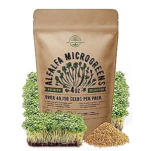 Alfalfa Sprouting & Microgreens Seeds - Non-GMO, Heirloom Seeds Kit in Bulk 4oz Resealable Bag for Planting & Growing Microgreens in Soil, Coconut Coir, Garden, Sprouting Tray, Hydroponic System