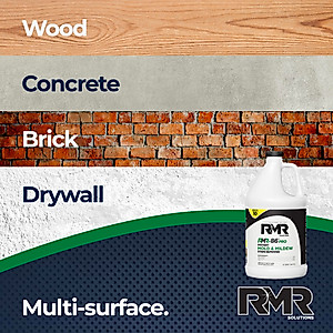 RMR-86 Pro Instant Mold Stain & Mildew Stain Remover - Contractor Grade Cleaning Solution, Professional Quality Formula, Odor Removal, 1 Gallon