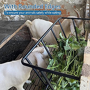 QVQE Hay Feeder Goat, 18 Gallon Multiple Sided Goat Hay Rack, Heavy Duty Iron Wall Hay Rack for Sheep with Detachable Grain Tray, Effortless Installation in Farm, Yield