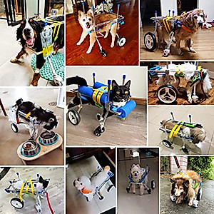 HobeyHove Adjustable 4-Wheel Dog Cart/Wheelchair, Animal Exercise Wheels，for Pet/Doggie Wheelchairs with Disabled Hind Legs Walking(7-Size) (XS)