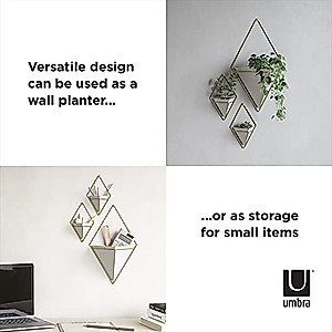 Umbra Trigg Hanging Planter Vase & Geometric Wall Decor Container - Great For Succulent Plants, Air Plant, Mini Cactus, Faux Plants and More, White Ceramic/Brass (Set of 2), Small