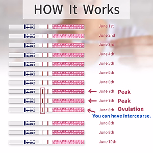 DAVID Ovulation Predictor Kit, 30 Ovulation Tests + 10 Pregnancy Tests Strips, 40 Count with Urine Cups, Fertility Test for Women, Over 99% Accurate (30LH-10HCG), EXP 10-30-2023