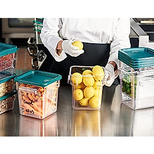 CURTA 4 Pack Food Storage Container with Green Lid - NSF Commercial Grade in 4.0 Qt - Square, Clear, Polycarbonate
