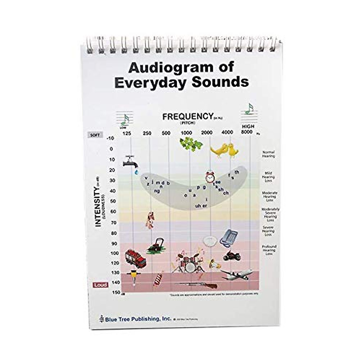 Blue Tree Publishing Ear Anatomy Desktop Charts For AUD, Audiologist, Hearing Centers and Classroom material for Education