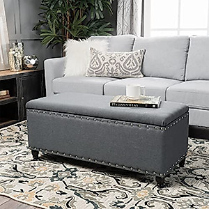 Christopher Knight Home Tatiana Fabric Storage Ottoman, Charcoal