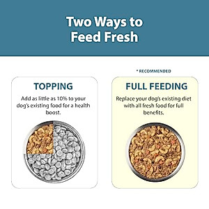JustFoodForDogs Pantry Fresh Wet Dog Food, Complete Meal or Dog Food Topper, Turkey & Whole Wheat Macaroni Human Grade Dog Food Recipe - 12.5 oz (Pack of 6)