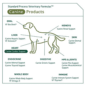 Standard Process Canine Cardiac Support - Dog Heart Health Support Supplement - Nutritional Supplement Formula to Support Cardiac Function - Pet Health Supplement with Selenium - 25 g