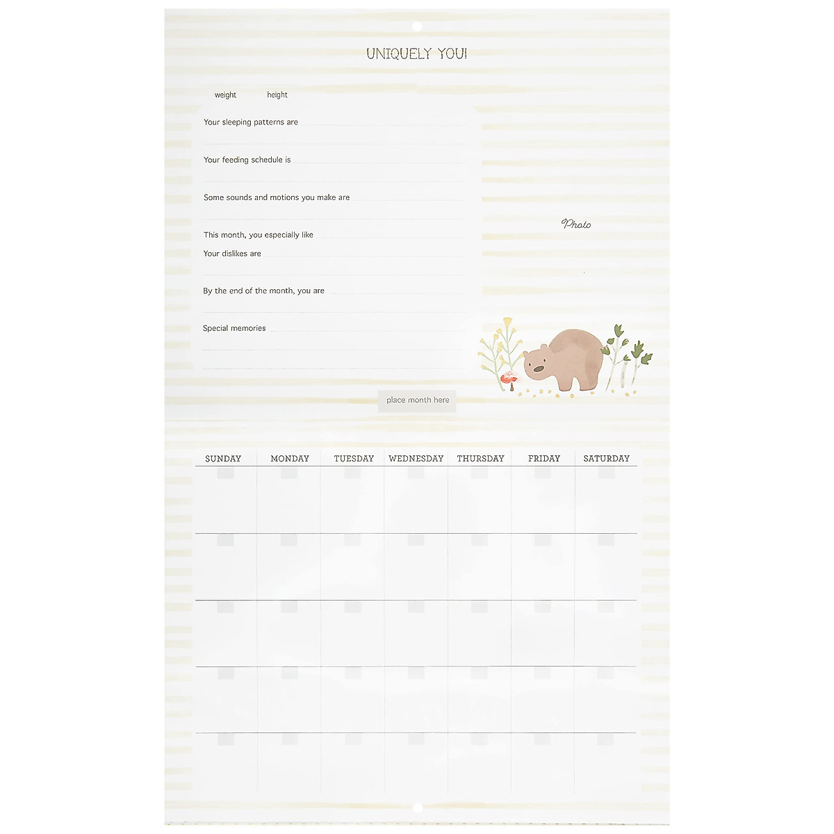 C.R. Gibson BA3-24546 Little One Woodland Gender Neutral Baby's First Year Keepsake Calendar, 11" W x 18" H Open, Multicolor