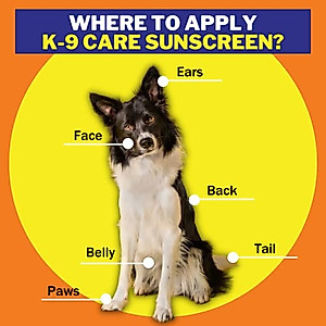 Epi-Pet K-9 Care Sunscreen, Paws to Tail Protection, Prevents Sunburns on Dogs and Horses, Sun Protector Spray, SPF 30+, Non-Greasy/Oily Solution – 3.5 oz