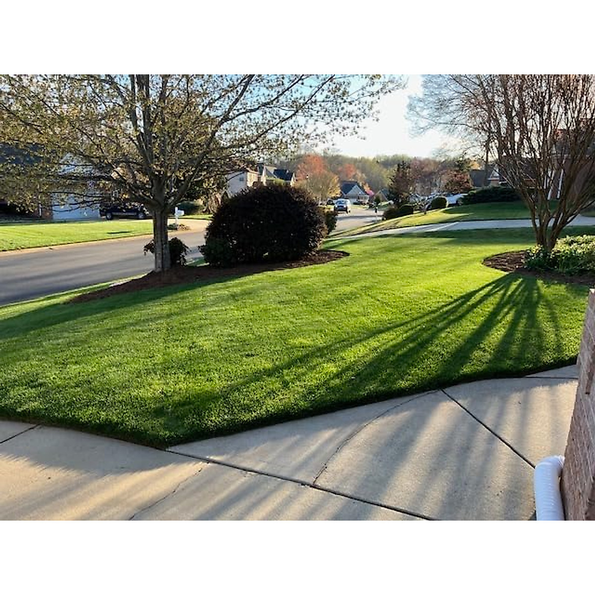 10-0-20 Emerald Lawn Fertilizer - 45% XCU Slow-Release, 10% Iron and GreenTRX Bios (1 Bag Covers up to 5,000 sq. ft.)