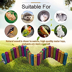 Hamster Bridge Suspension Ladder Rat Rainbow Long Bridge Wooden Climbing Ladder Bridge Chew Toys for Dwarf Syrian Hamster Mice Mouse Gerbils(2 PCS)