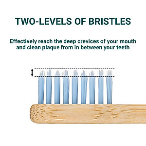 DR.NOAH Maru Kids Bamboo Toothbrush, 6 Pack | Designed by Dentists | Soft, Tapered, BPA Free Bristles | Ergonomic Design | Eco Friendly