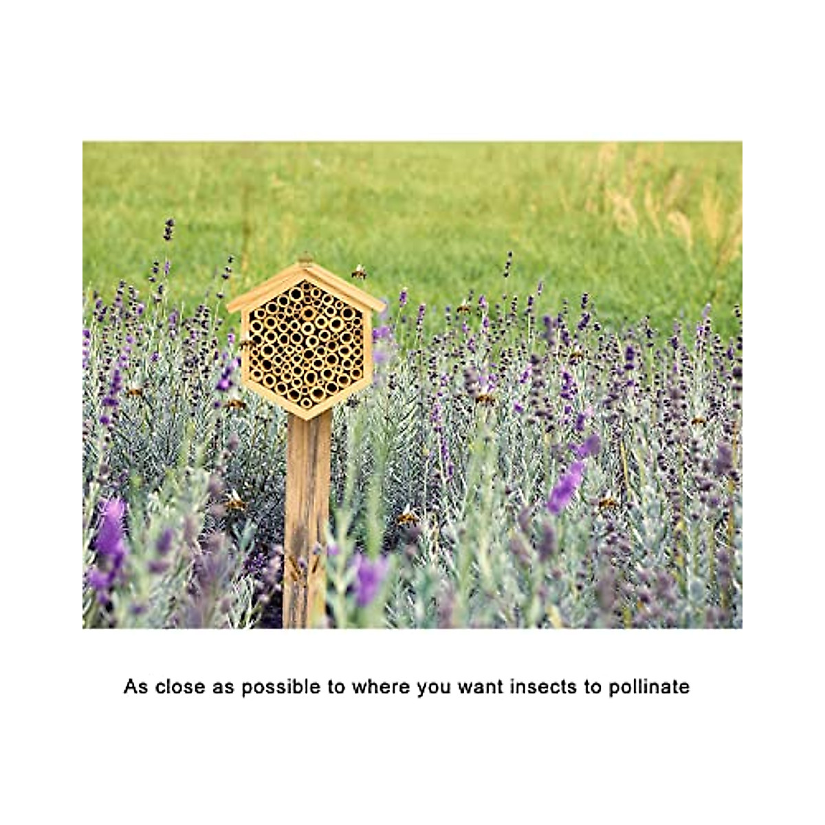 Mason Bee House - Handmade Wooden Bee Hotel Natural Bamboo Bee Habitat Hive Bee Box for Carpenter Bee, Garden Gifts, Pollinating Bees, Leaf Cutter Bee