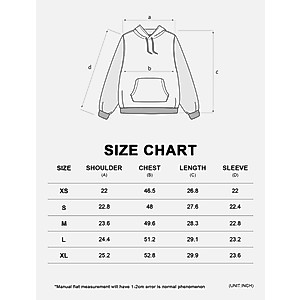 Aelfric Eden Mens Graphic Hoodies Y2k Hoodies Oversized Streetwear Hoodie Sweatshirt Casual Harajuku Hooded Pullover