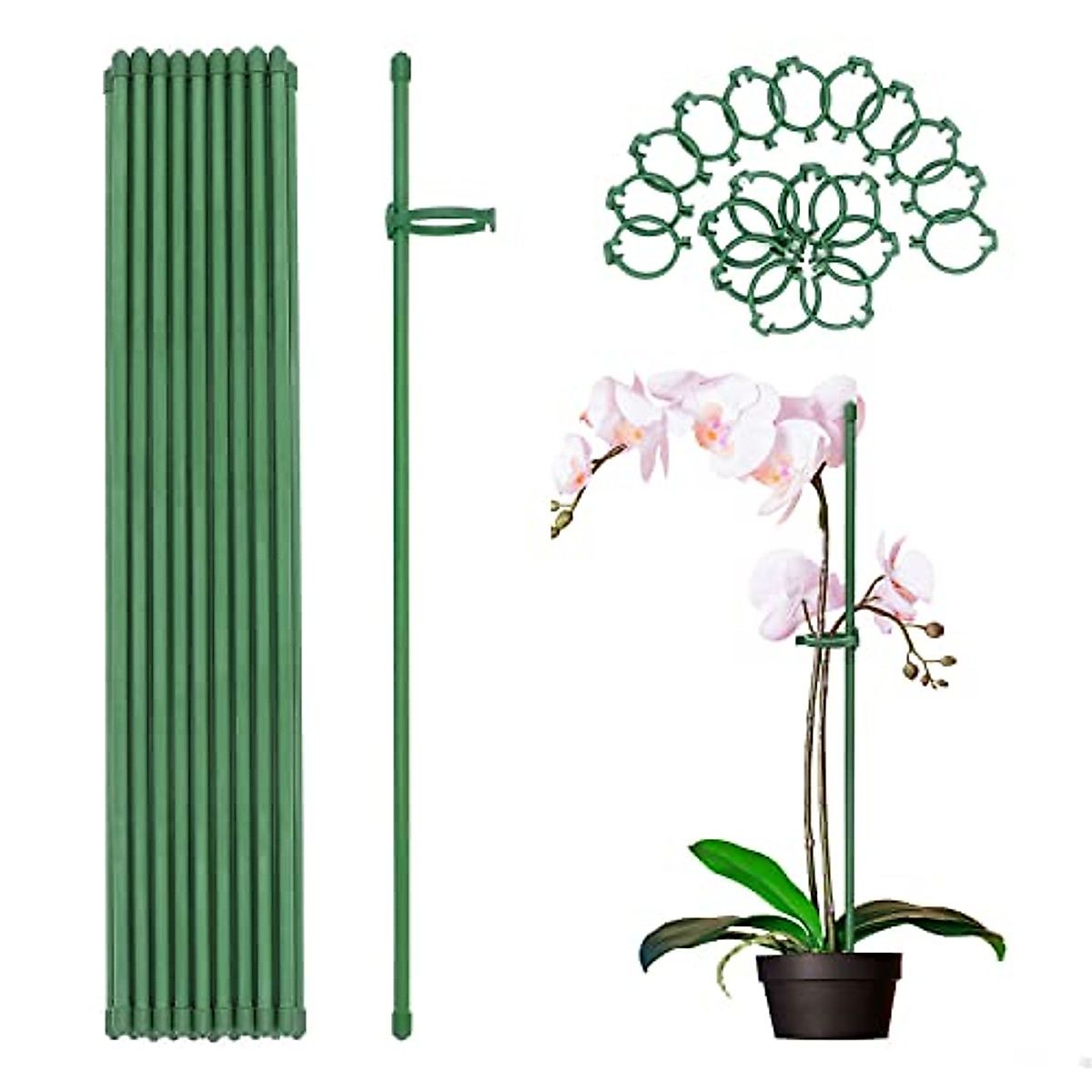Plant Stakes Green Adjustable Garden Single Stem Plant Support Stakes,19Pcs Plant Support Sticks with Rings for Indoor and Outdoor Plants,Flowers,Tomatoes-18 inches