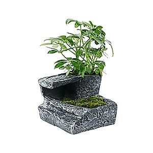 Flushbay Turtle Basking Platform Tortoise Resting Rock Climbing Rock Resin Aquarium Landscape Rock Decoration Reptile Habitat Ornament for Turtle, Newt, Frog, Lizard, Bearded Dragons