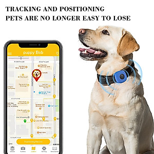 AMOK Silicone Case Holder for Galaxy Smarttag ，Samsung Smart tag+Plus (2 Pack) Item Finder GPS Tracker Tags for Pets, Luggage，Dogs, Cats, and Children,Compatible with Collars & Straps up to 1 inch