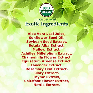 GIOVANNI L.A. Hold Hair Spritz - Maximum Hold Styling Spray, Lightweight, Lauryl & Laureth Sulfate Free - 5 oz (Pack of 3)