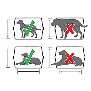 Petmate Compass Kennel, 20-30LBS, PEARL WHITE/BLACK, Model:41033