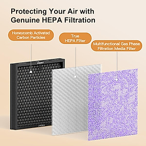 MORENTO 2 Pack HY4866 Genuine Air Purifier Replacement Filter for HY4866 Air Purifier, Multifunction Version