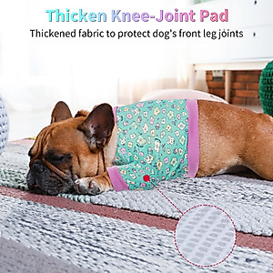 QBLEEV Dog Recovery Suit for Front Legs, Dog Recovery Sleeve to Prevent Licking, Dog Body Suits After Surgery Front Legs for Wounds, Dog Elbow Protector Dog Cone Collar Alternatives, French Bulldog M