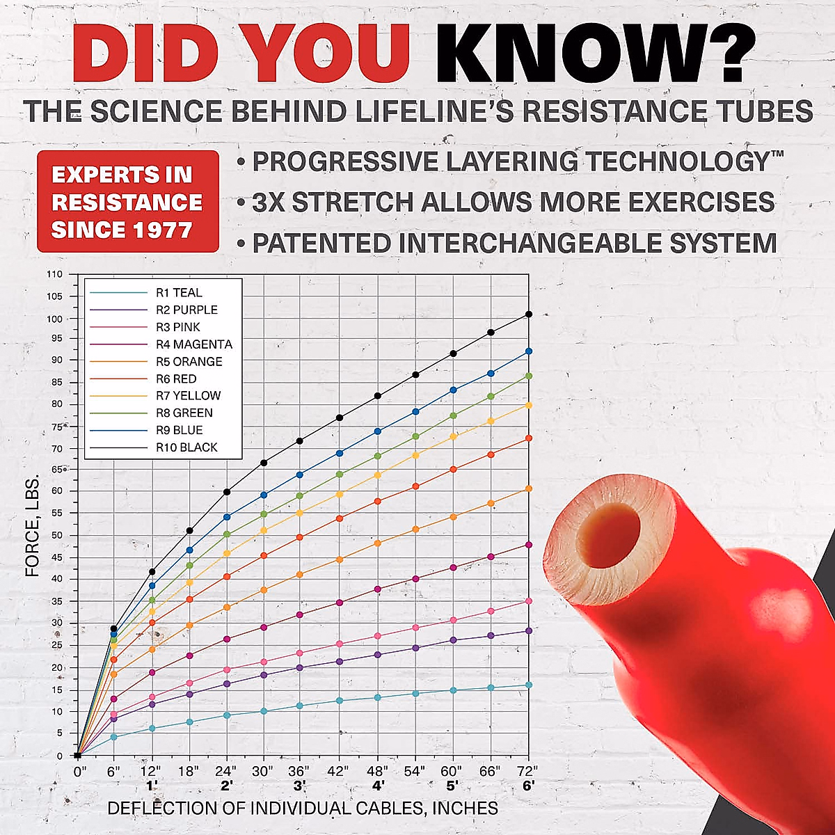 Lifeline Trainer Cable for Low Impact Strength Training and Greater Muscle Activation, 20 lbs, Purple